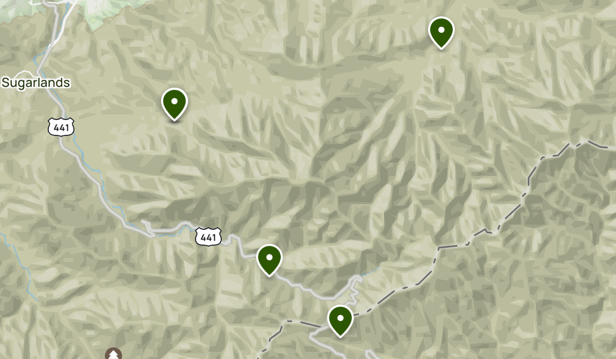 Mt. LeConte Lodge Trails | List | AllTrails