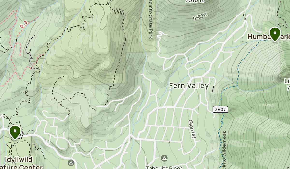 Idyllwild Day Hikes | List | AllTrails