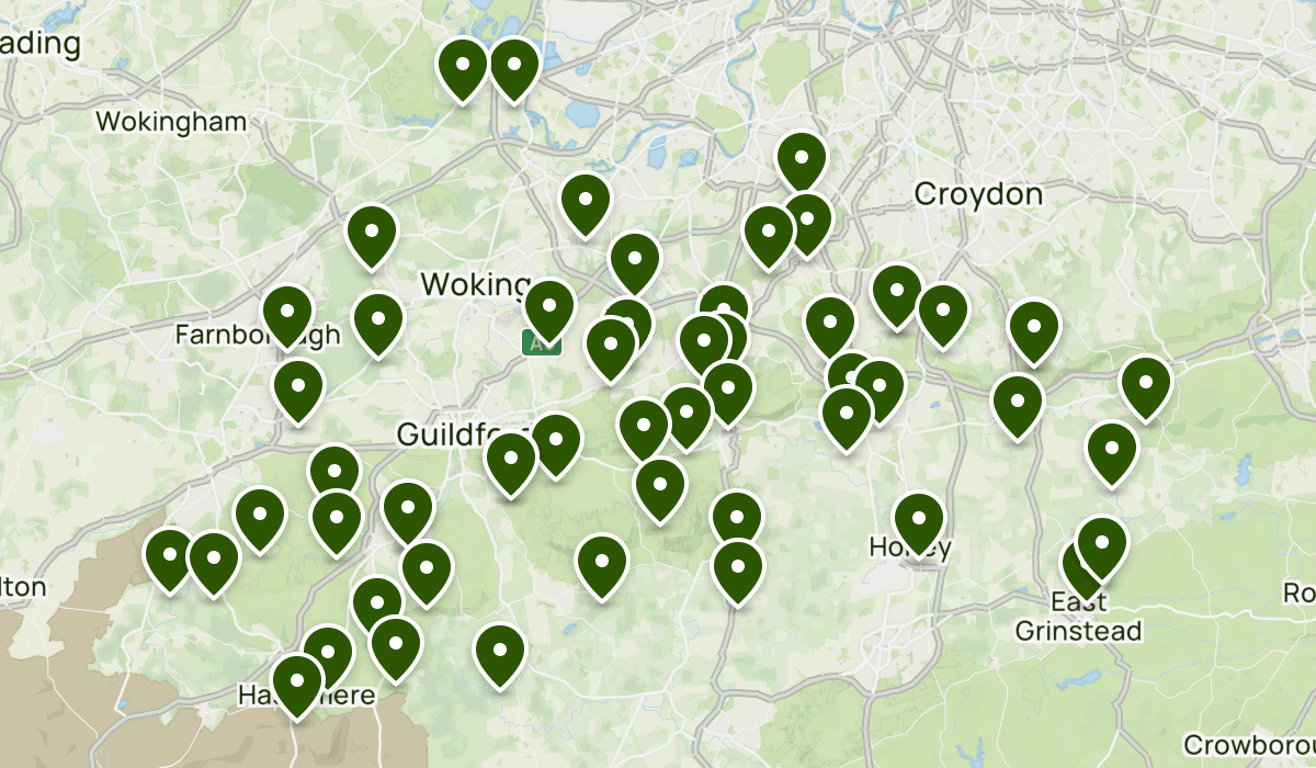 Surrey County Council's Collection | List | AllTrails