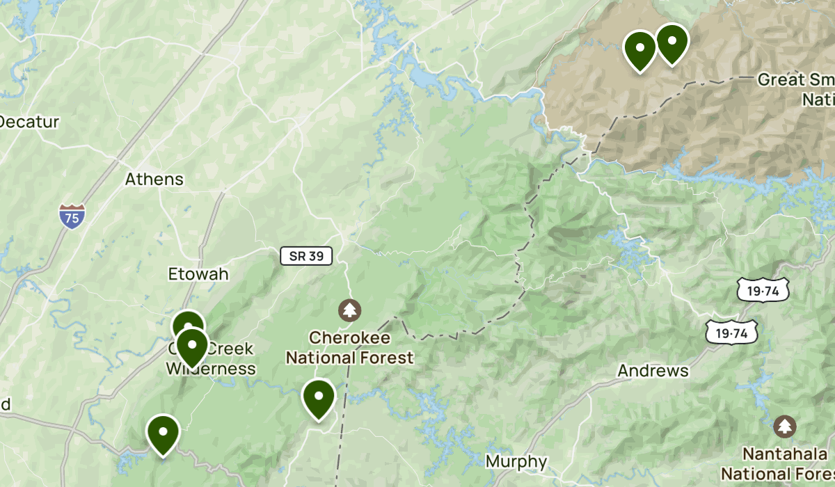 Easy Hikes for Beginners | List | AllTrails