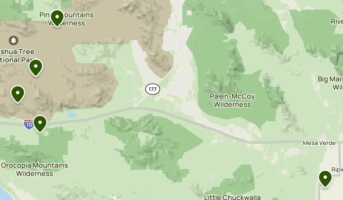 Joshua Tree Trails | List | AllTrails