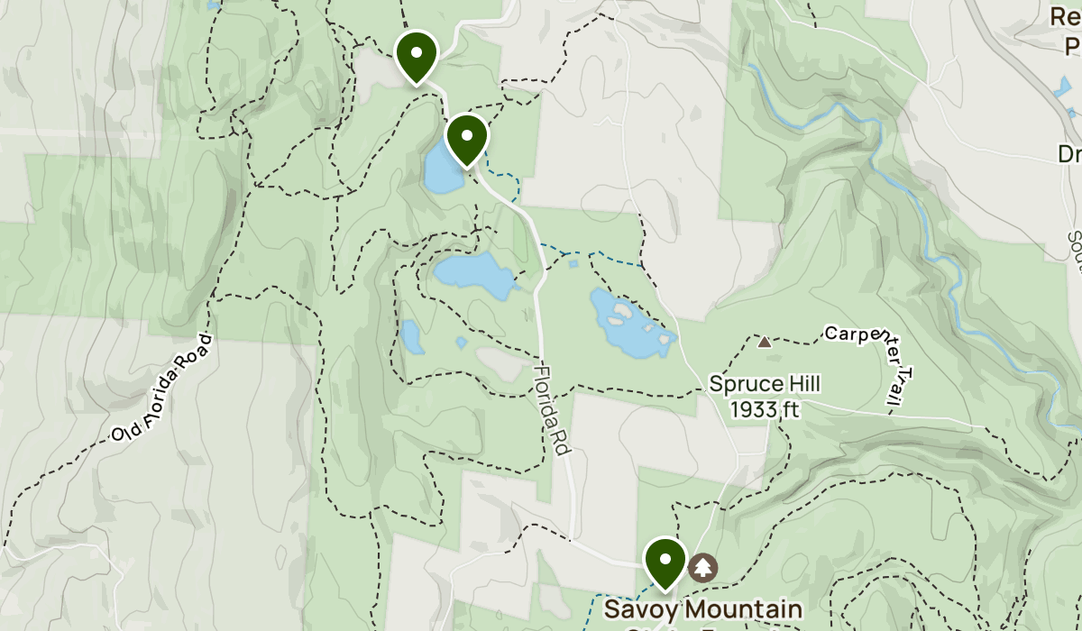 Savoy Mountain State Forest | List | AllTrails