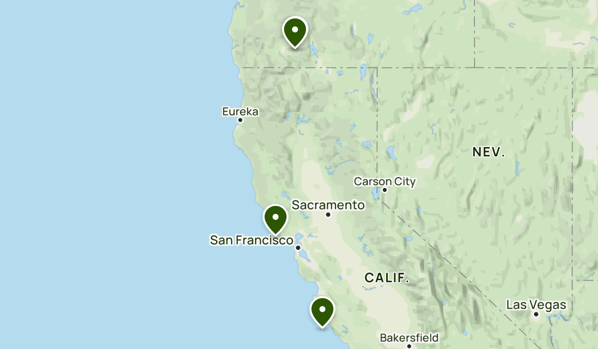 For Bruno | List | AllTrails