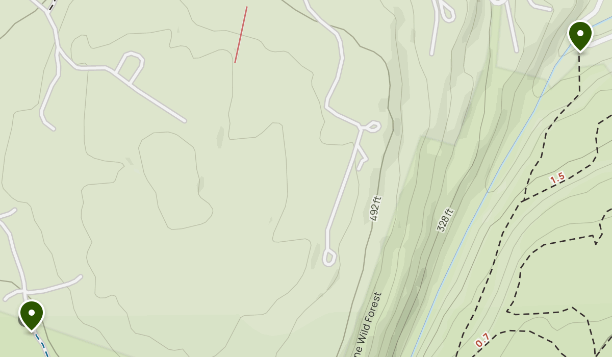 Bluestone Wild Forest | List | AllTrails