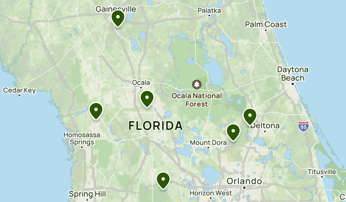 Ocala National Forest bike trails | List | AllTrails