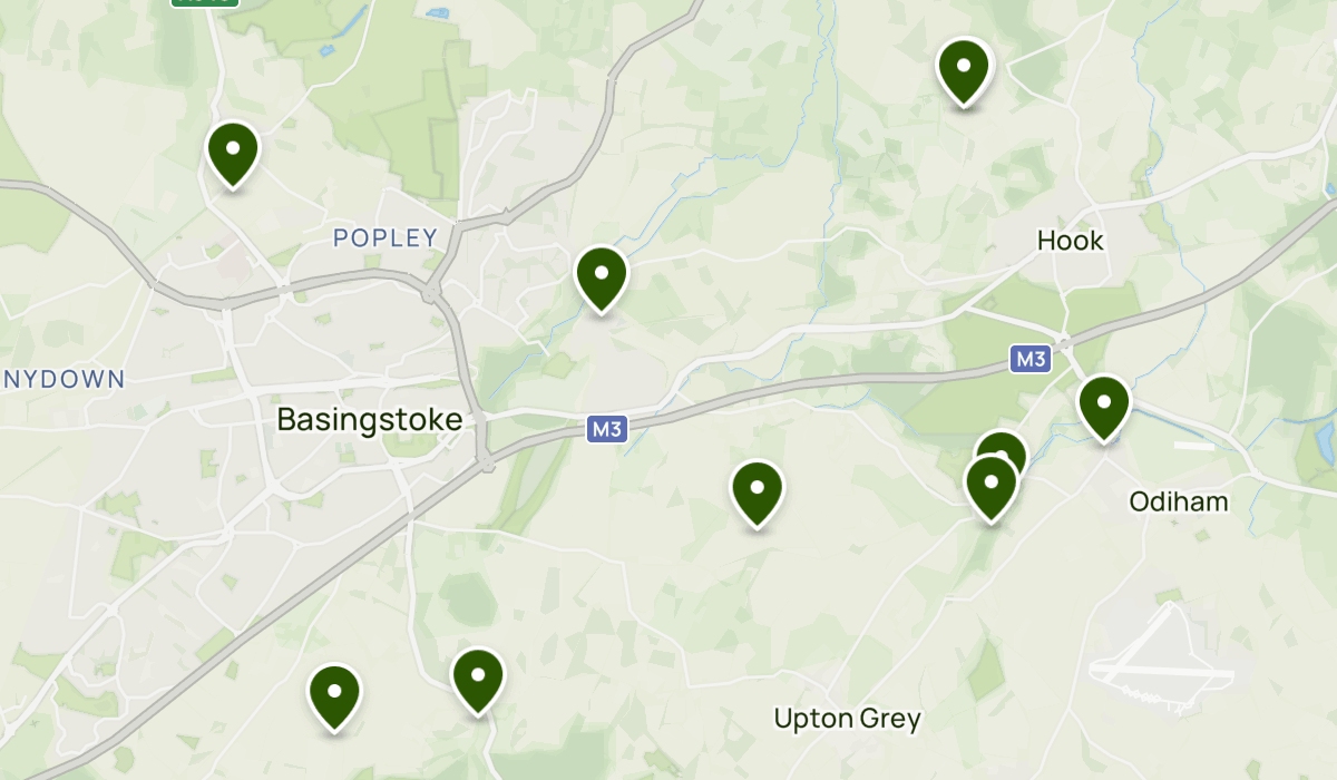 Walks Near The Hatch, Old Basing | List | AllTrails